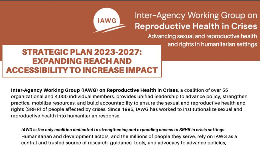 IAWG Strategic Plan 2023 - 2027: Expanding Reach and Accessibility to ...